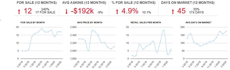 PJA Market InSight | Cirrus Vision | March 2020